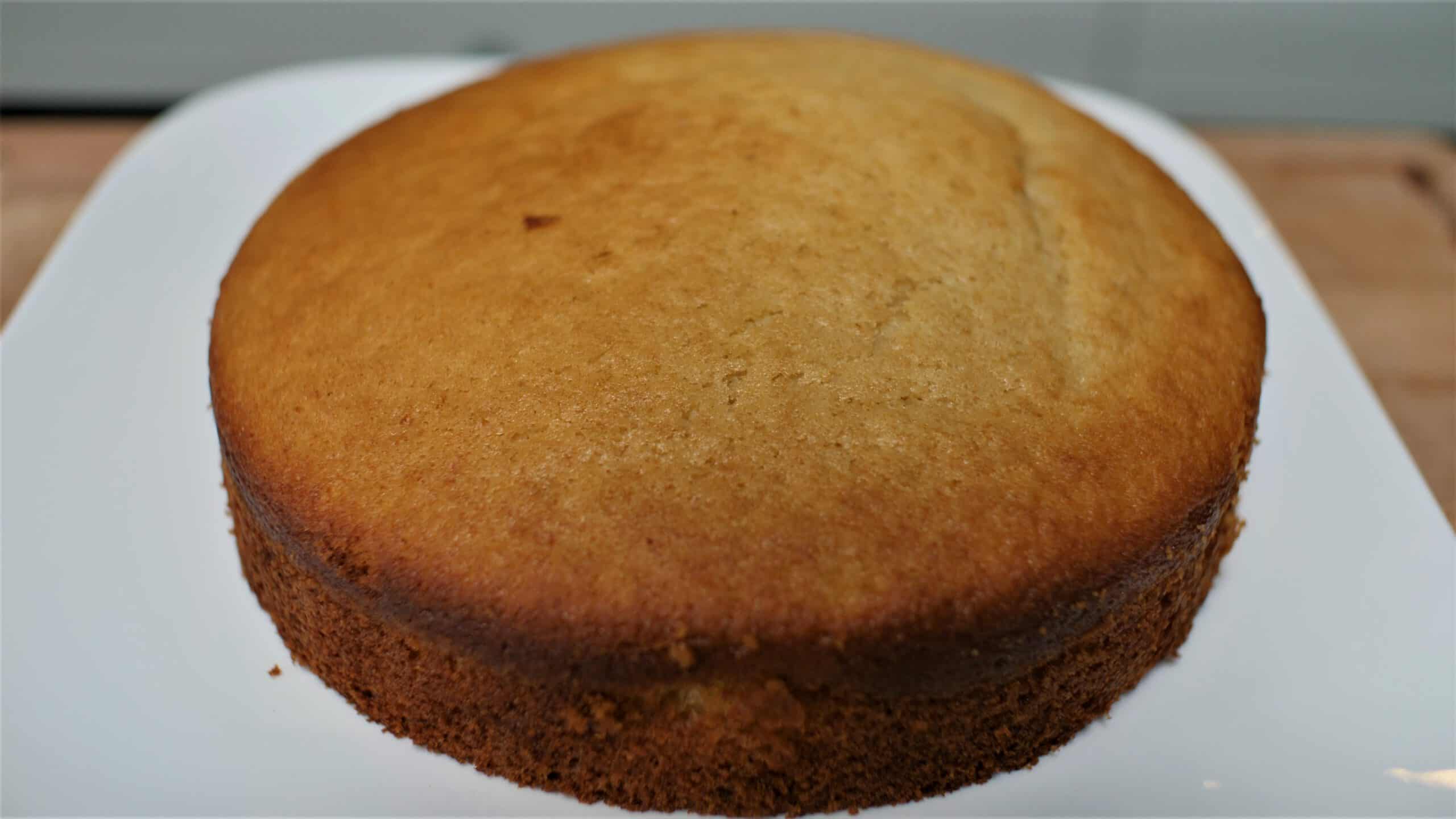 Vanillecake in 45 Minuten - Nolynskitchen.com